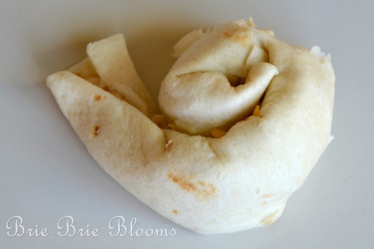 Garden Snail Lunch {Bumble Bee Tuna and cheddar tortilla roll up ...