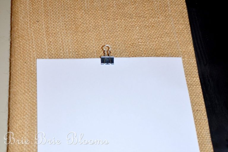Teacher Project: DIY Introduction Board - Brie Brie Blooms