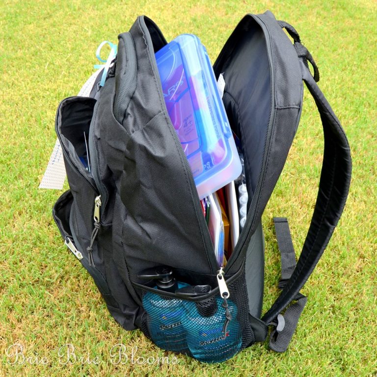 Back to School Donation, Bag it Forward with Champions for Kids and ...