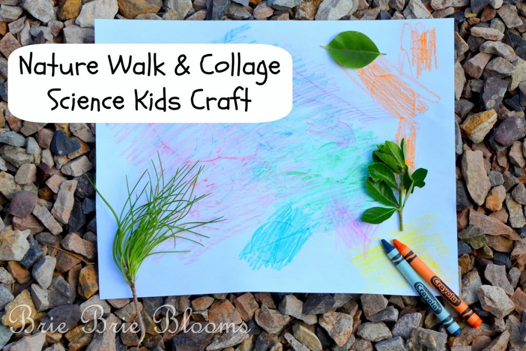 Nature Walk and Collage, Science Kids Craft - Brie Brie Blooms