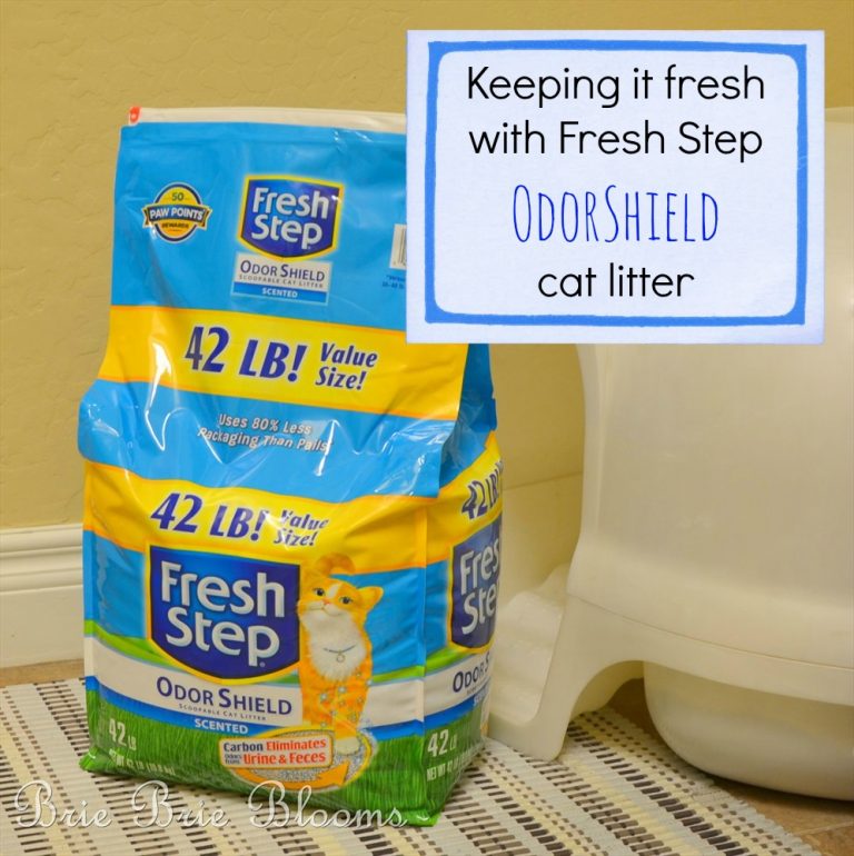 Keeping it Fresh with Fresh Step OdorShield Cat Litter - Brie Brie Blooms