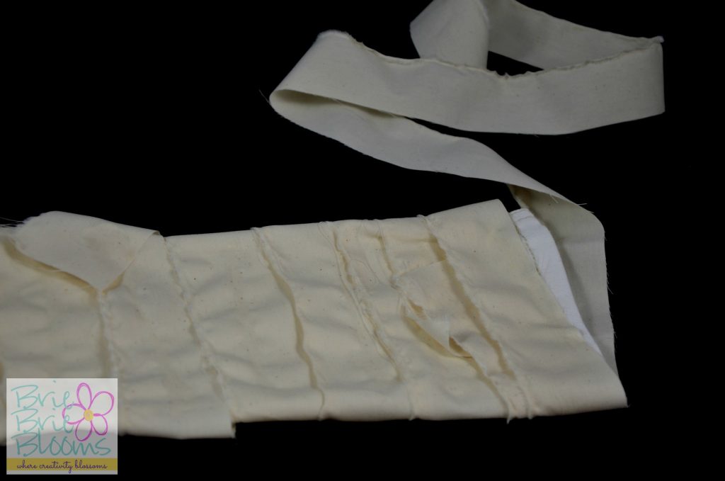 DIY Disney Mummy Costume - Brie Brie Blooms