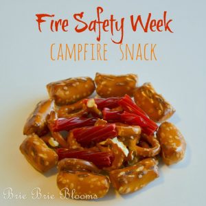 Campfire Snack for Fire Safety Week - Brie Brie Blooms
