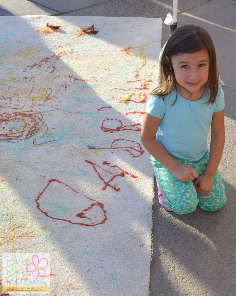 Your Cleaning Dream Comes True with Mohawk SmartStrand Carpet - Brie ...