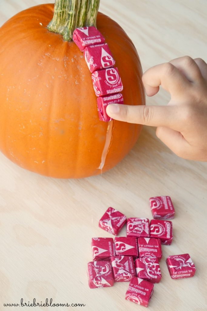 DIY Candy Covered Pumpkin and Free Halloween Printable - Brie Brie Blooms