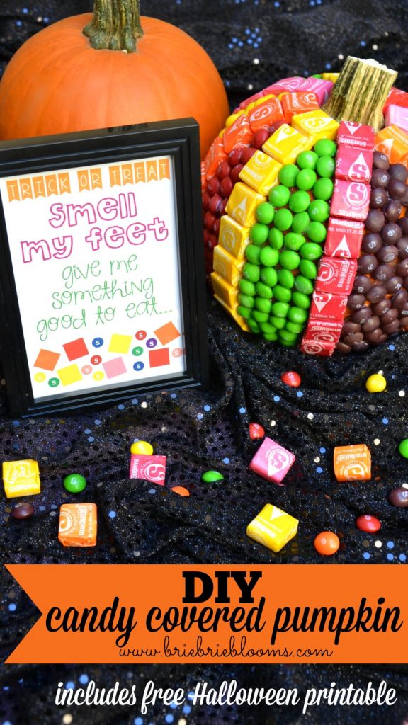 DIY Candy Covered Pumpkin and Free Halloween Printable - Brie Brie Blooms