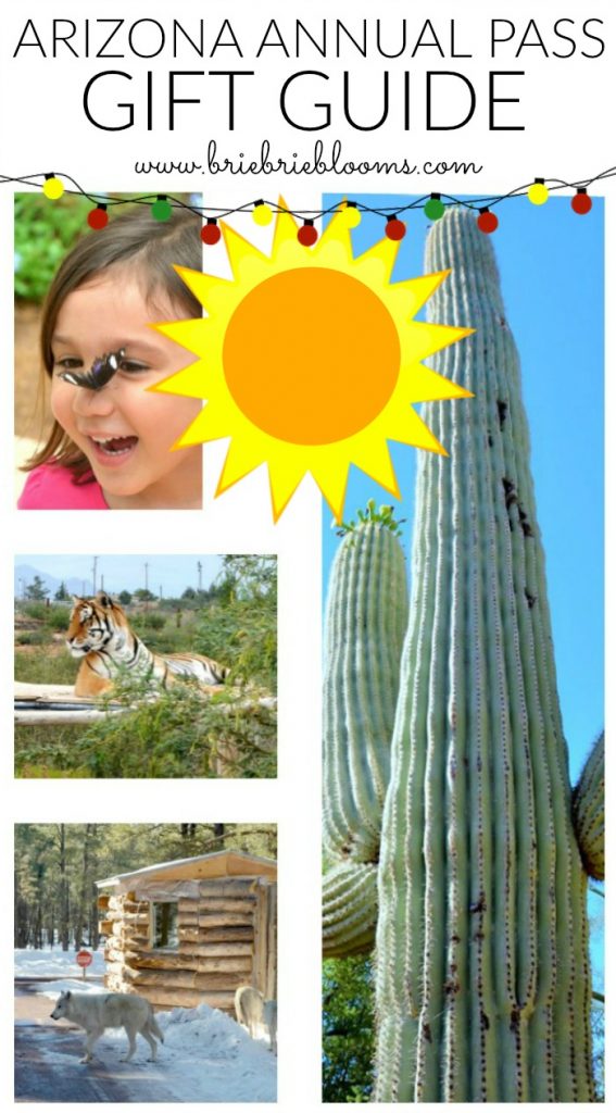 Arizona annual pass gift guide - Brie Brie Blooms