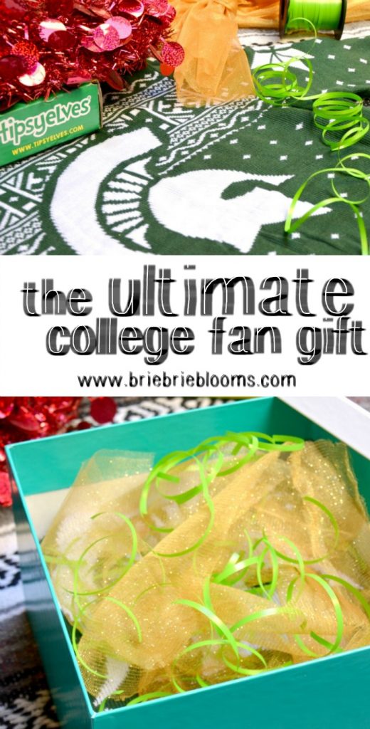 The Ultimate College Fan Gift with Ribbon and Tulle Gift Box Stuffing ...
