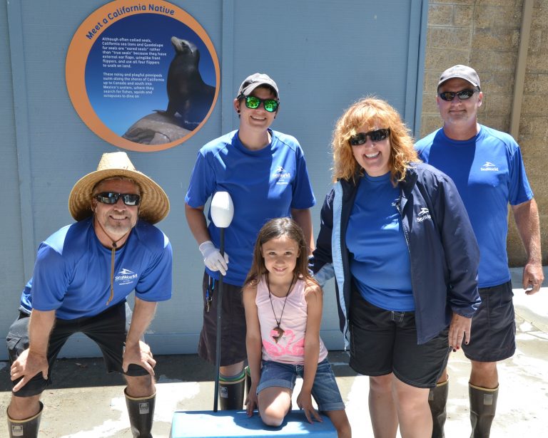 I still choose to support SeaWorld - Brie Brie Blooms