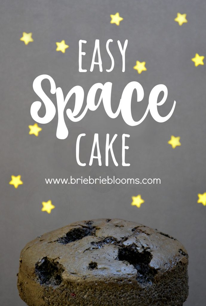 Easy Space Cake - Brie Brie Blooms