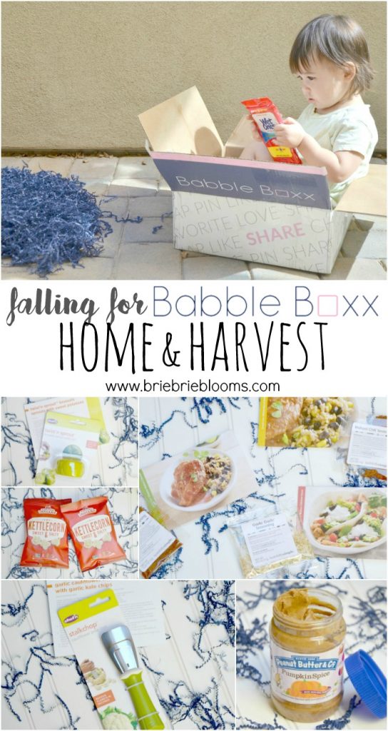 Falling for BabbleBox: favorite home and harvest products! - Brie Brie ...