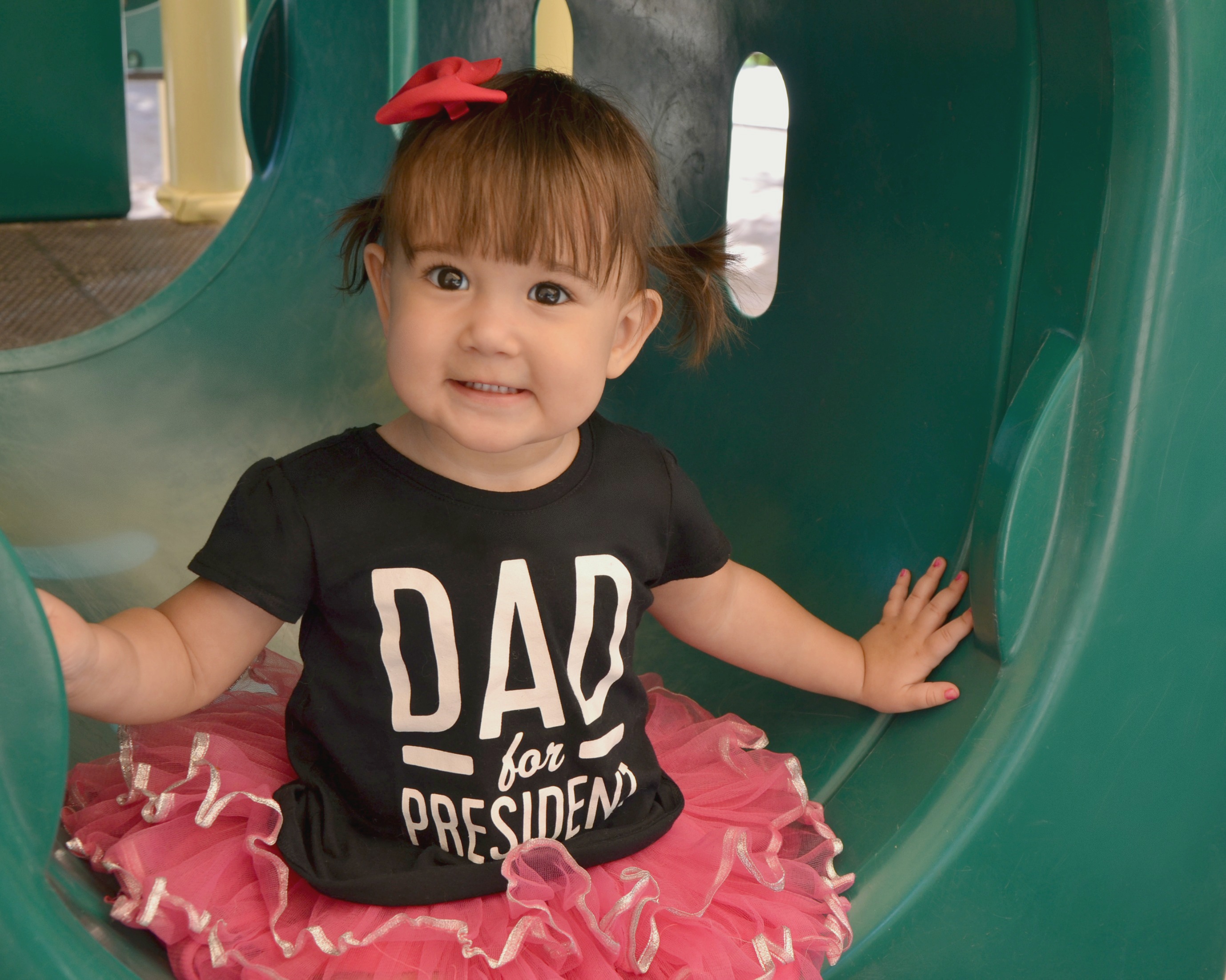 Dad for President, current campaign thoughts - Brie Brie Blooms