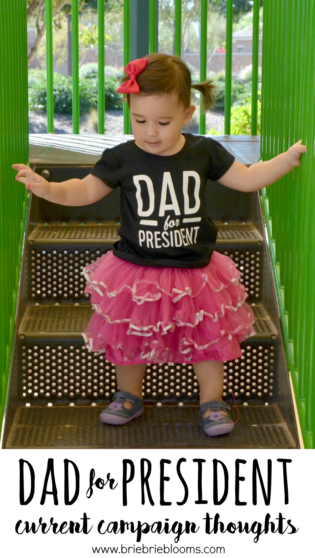 Dad for President, current campaign thoughts - Brie Brie Blooms