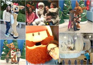 Christmas at SeaWorld with Rudolph and Friends - Brie Brie Blooms