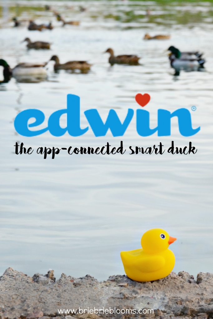 Edwin the duck, the app-connected smart duck - Brie Brie Blooms