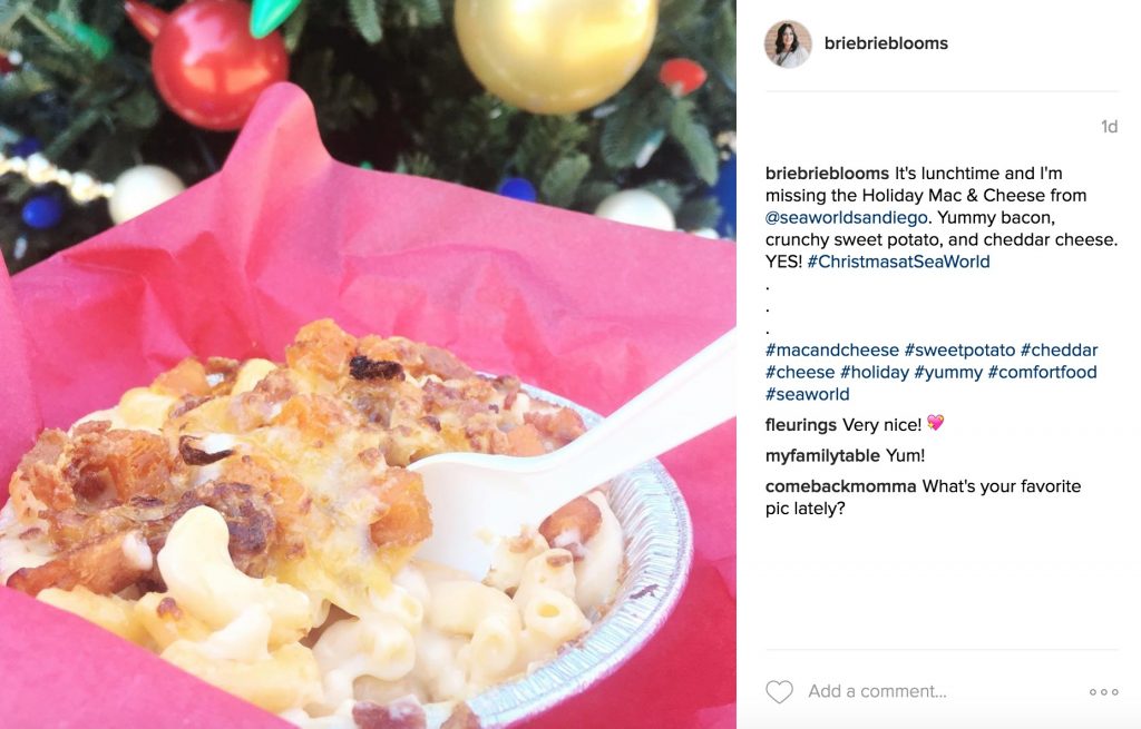 Christmas at SeaWorld with Rudolph and Friends - Brie Brie Blooms