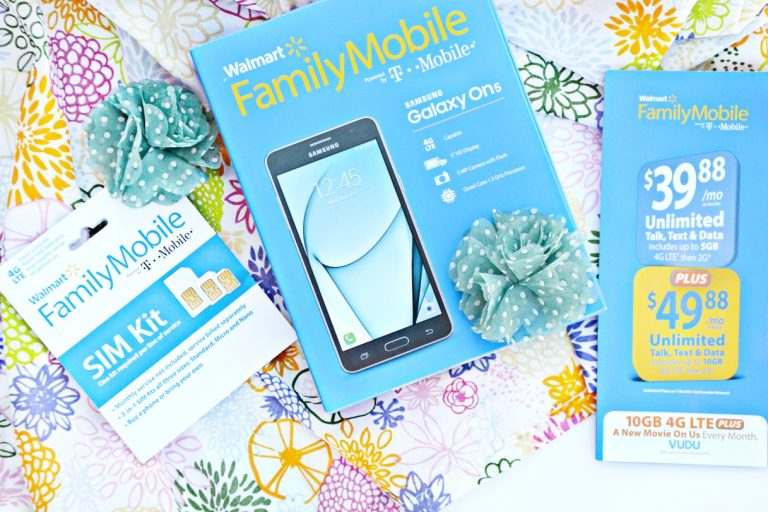 Family Road Trip Data - Brie Brie Blooms