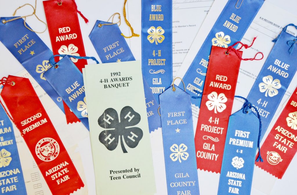 My 4-H Experience | 4-H Food Smart Families Program - Brie Brie Blooms