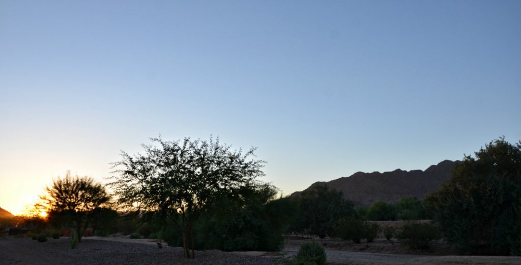 10 Ways to Enjoy Fall in the Desert - Brie Brie Blooms