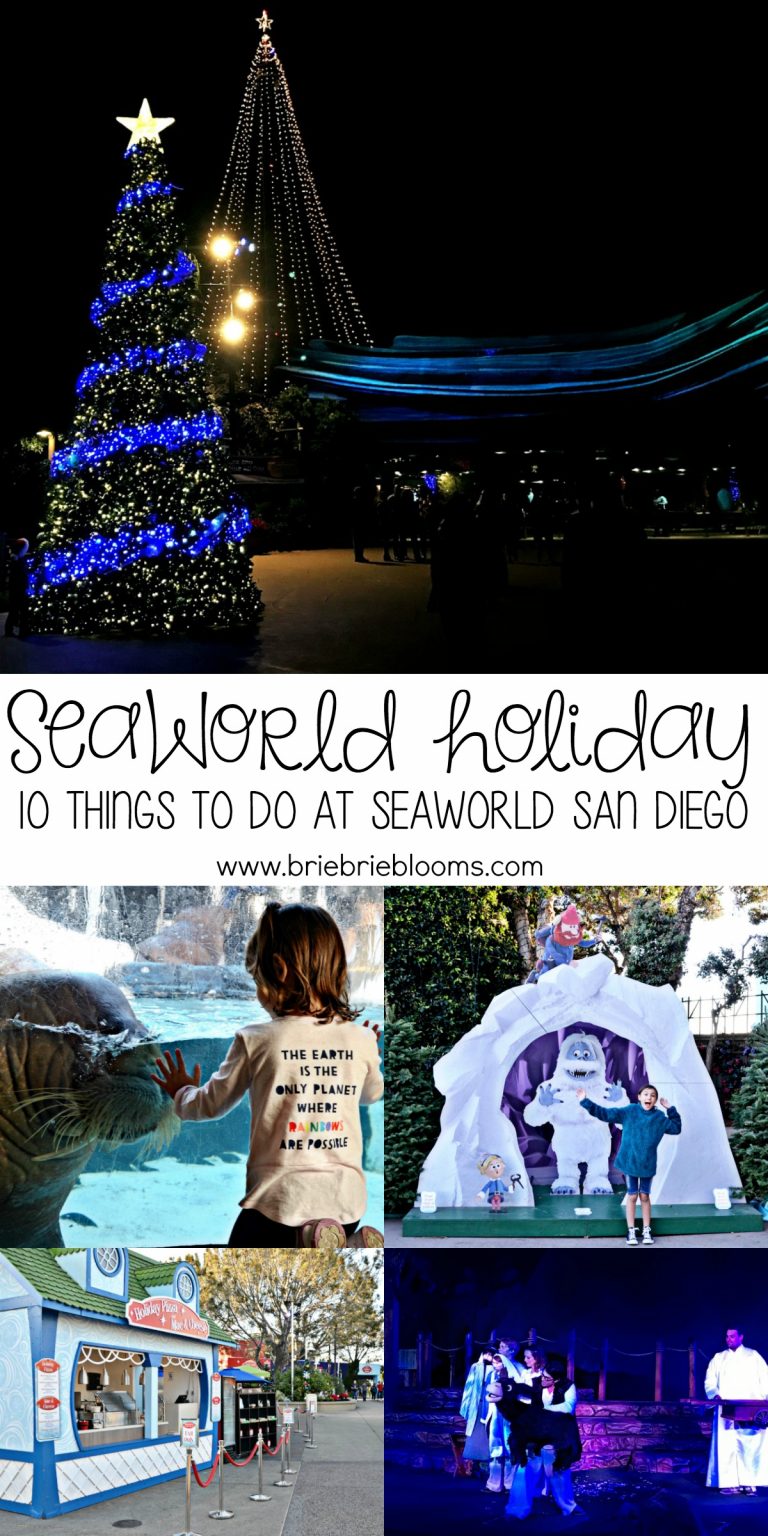 SeaWorld Holiday | 10 Things to do at SeaWorld San Diego - Brie Brie Blooms
