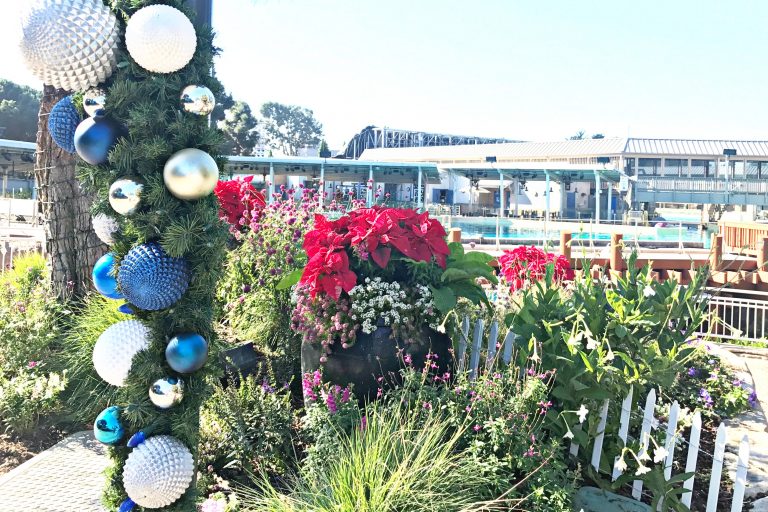 SeaWorld Holiday | 10 Things to do at SeaWorld San Diego - Brie Brie Blooms