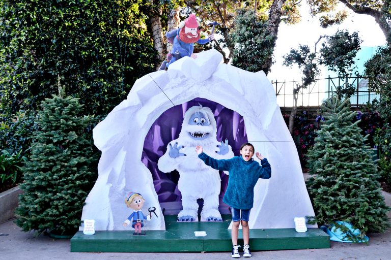 SeaWorld Holiday | 10 Things to do at SeaWorld San Diego - Brie Brie Blooms