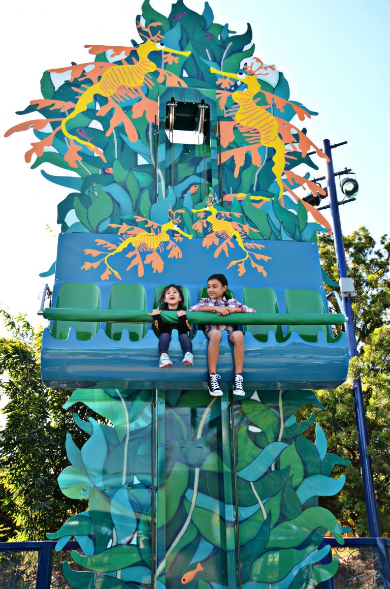 SeaWorld Holiday | 10 Things to do at SeaWorld San Diego - Brie Brie Blooms