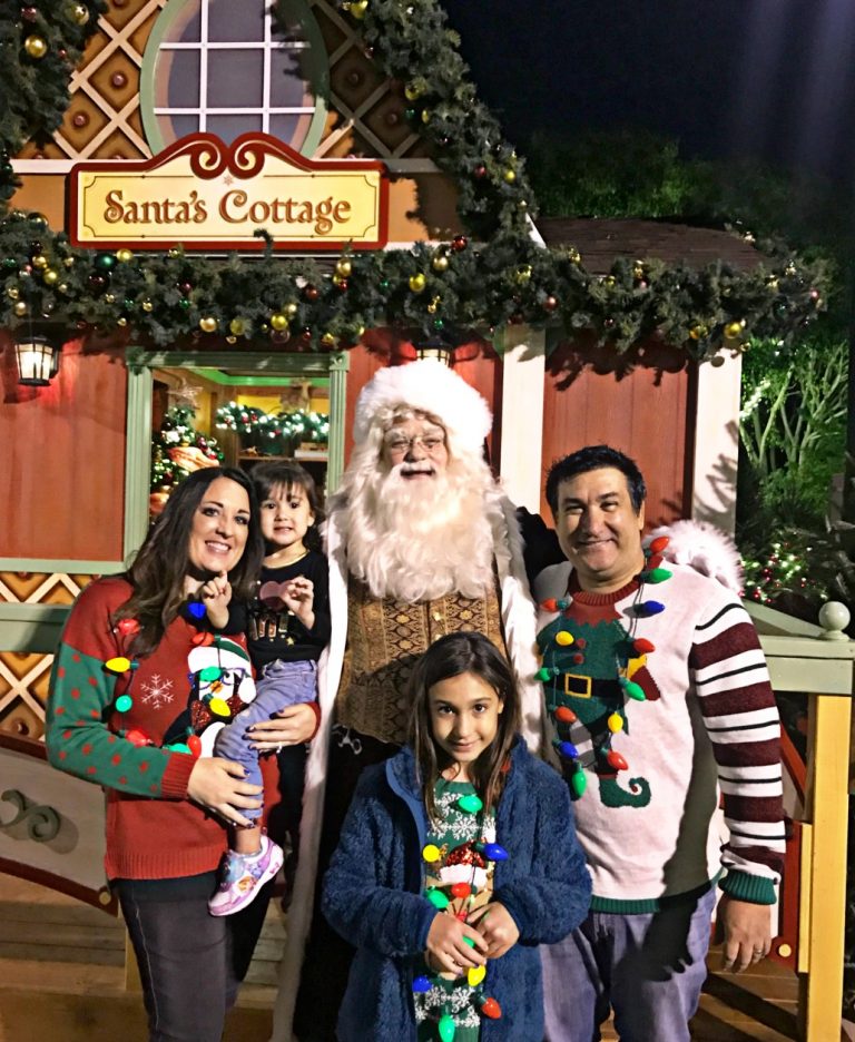 SeaWorld Holiday | 10 Things to do at SeaWorld San Diego - Brie Brie Blooms