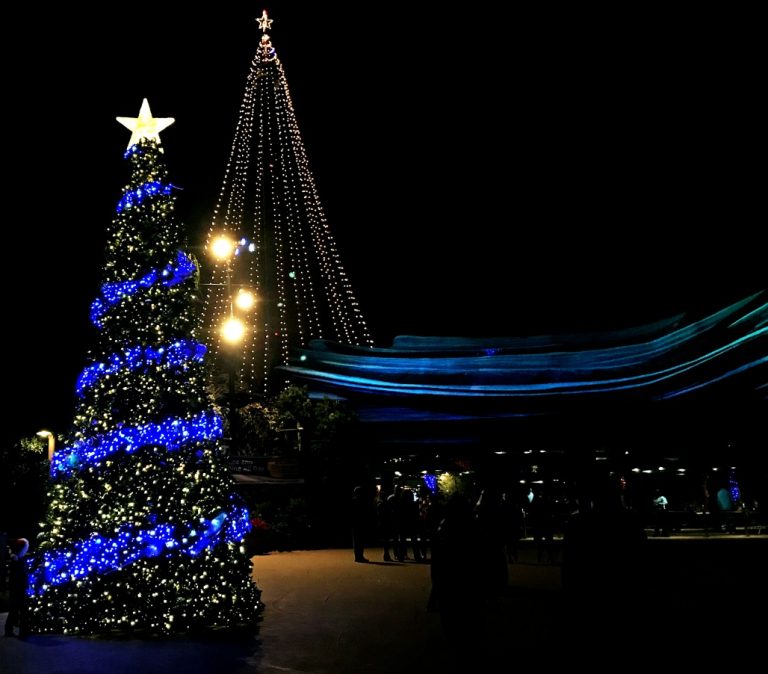 SeaWorld Holiday | 10 Things to do at SeaWorld San Diego - Brie Brie Blooms