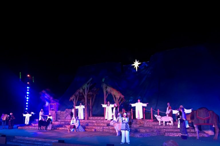 SeaWorld Holiday | 10 Things to do at SeaWorld San Diego - Brie Brie Blooms