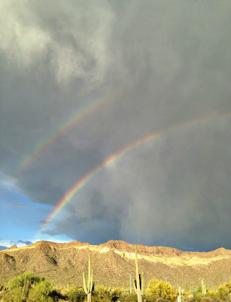 10 Ways to Enjoy Spring in Arizona - Brie Brie Blooms