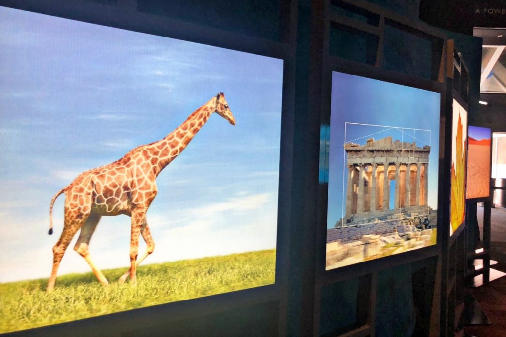 Arizona Science Center Mirror Maze | Ticket Giveaway - Brie Brie Blooms