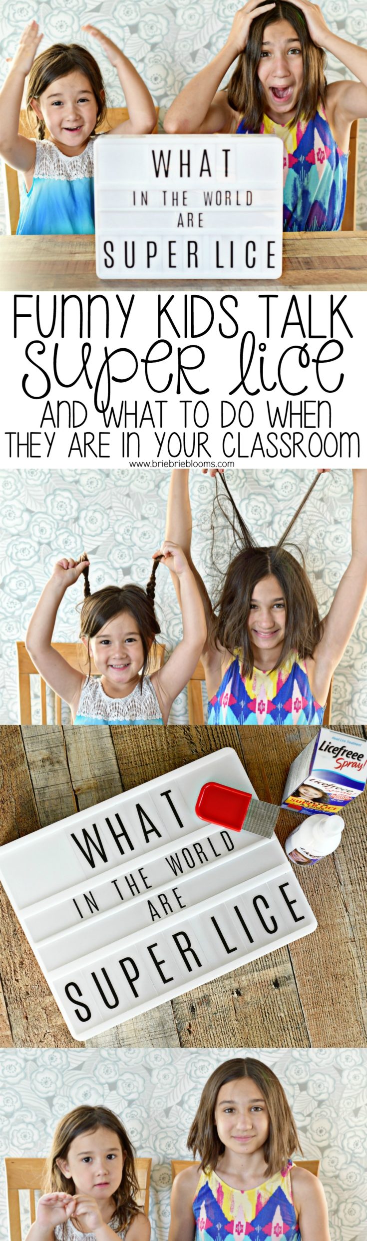 Funny Kids Talk about Lice | What To Do if Lice is in Your Classroom ...