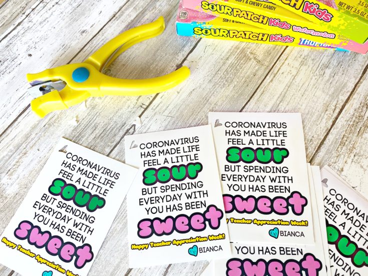 Quarantine Gift Idea | Coronavirus Teacher Appreciation Gift - Brie ...