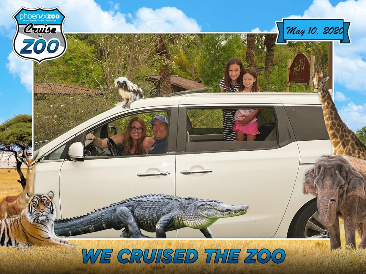 What to Expect at Cruise the Zoo | Phoenix Zoo 2020 - Brie Brie Blooms
